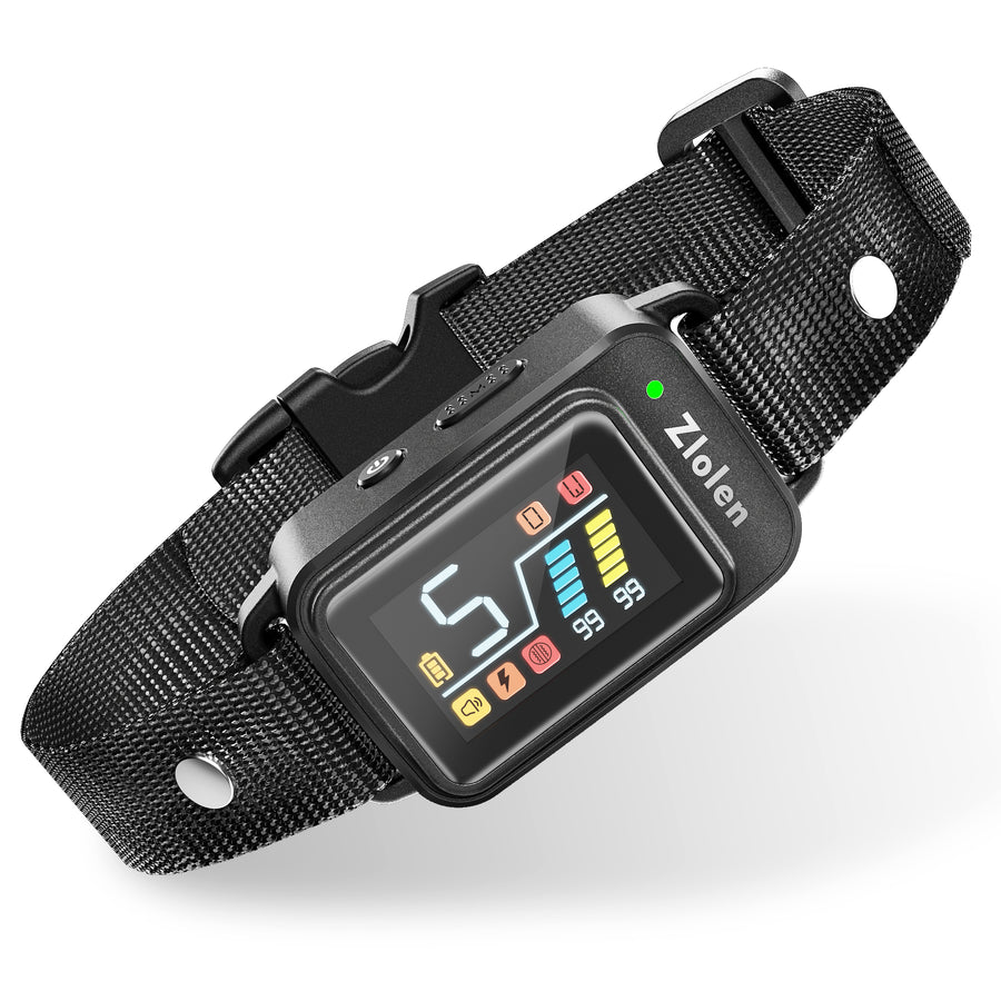 New Arrivals – PATPET