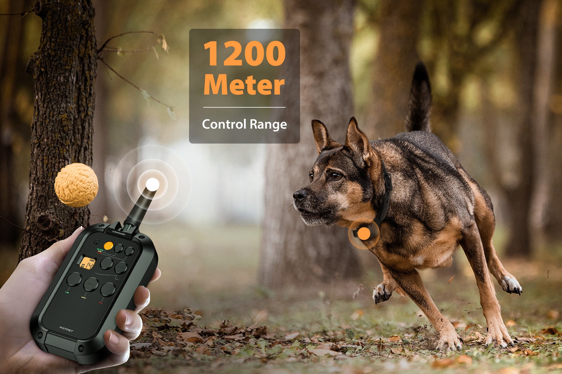 920 Dog Training Collar – PATPET