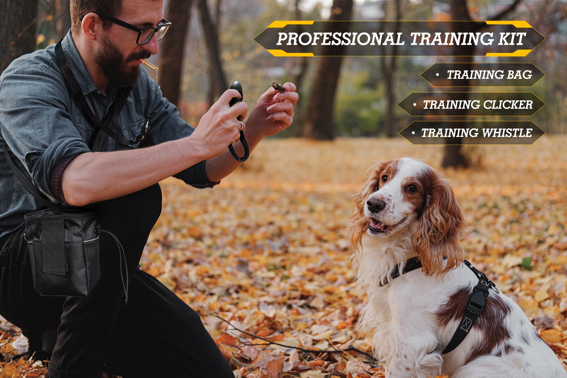910 Dog Training Collar With More Training Tools – PATPET