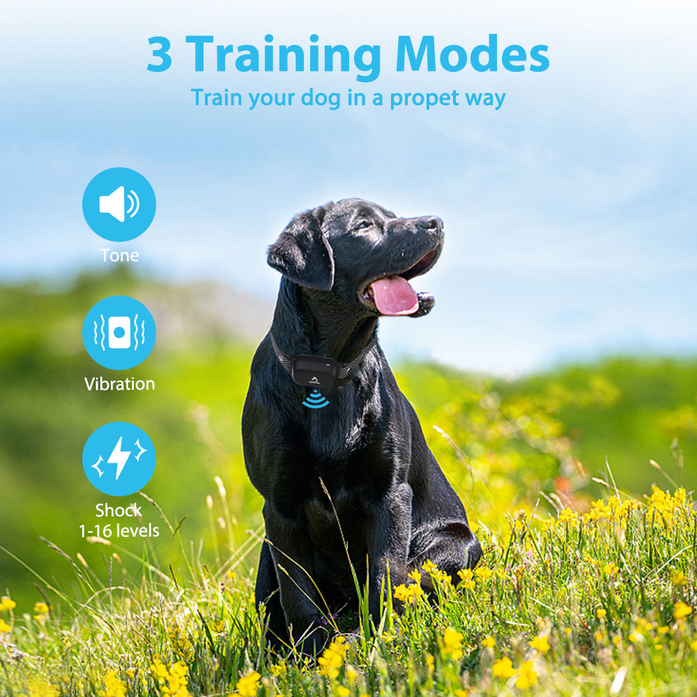 PATPET Dog Training Collar 370